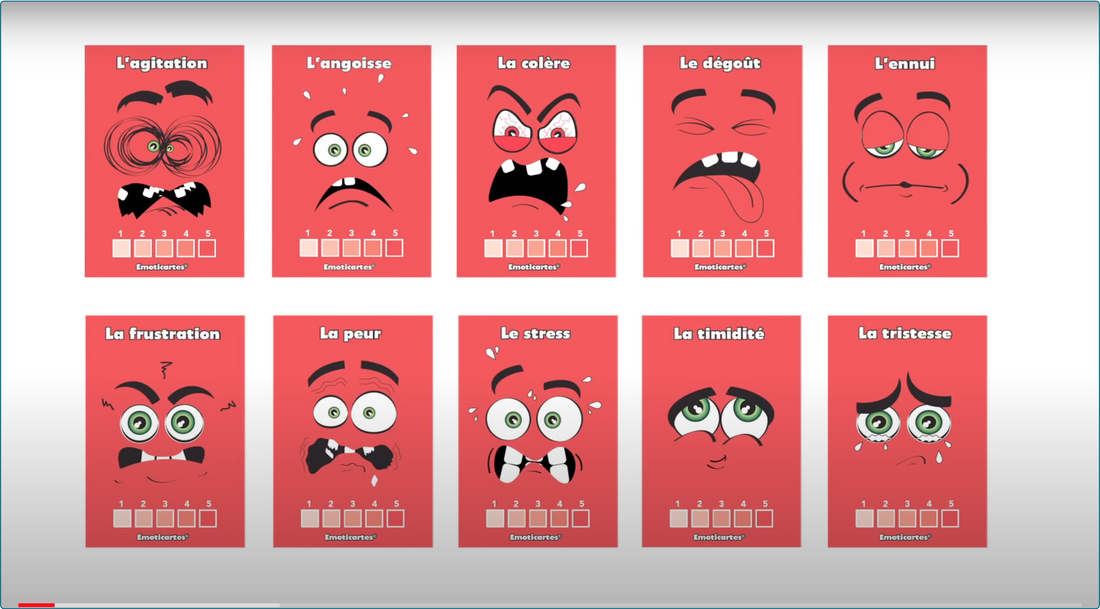 Jeu des émotions N°1 en France - Emoticartes